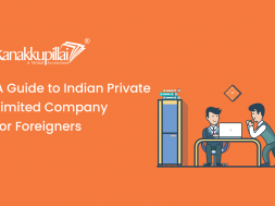A Guide to Indian Private Limited Company for Foreigners ...