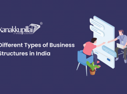 Different Types of Business Structures in India - Kanakkupillai