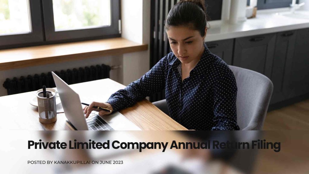 Guide to Private Limited Company Annual Return Filing