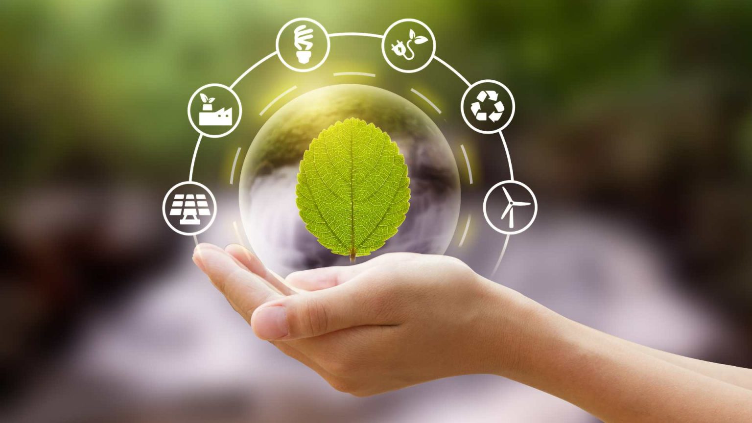 Types of Environmental Licenses and Permits in India