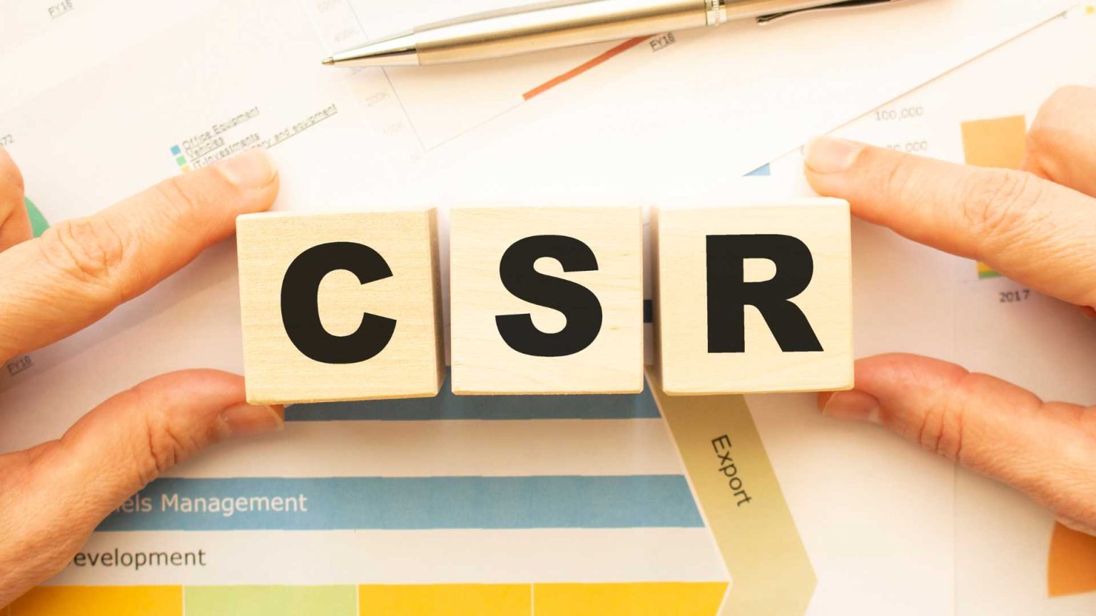 CSR Activity and Compliances