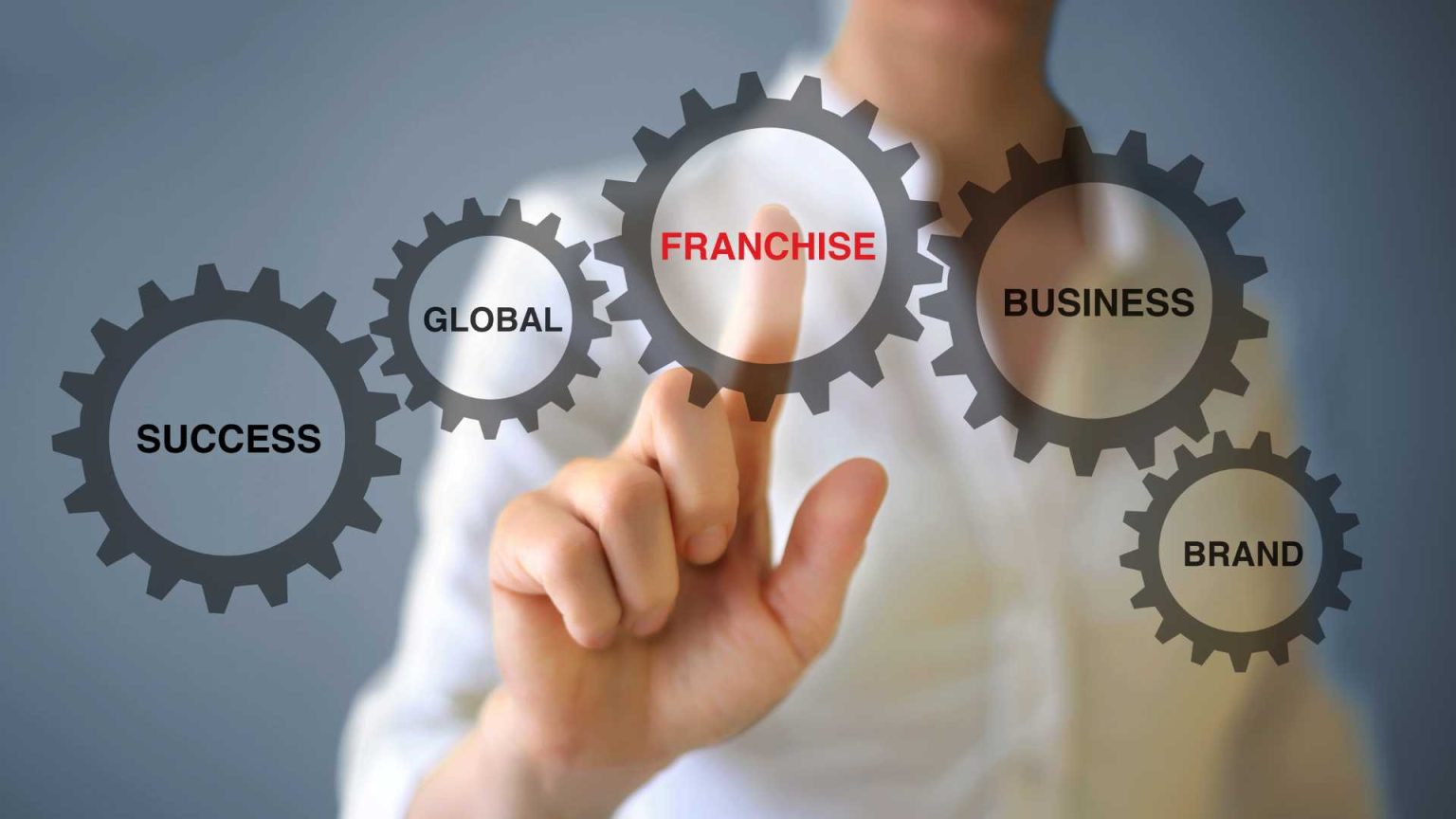 Top 25 Highly Profitable Franchise Business Ideas in India