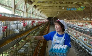 Scheme for Establishment of Poultry Units